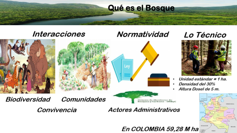 Qué Es El Bosque | PDF