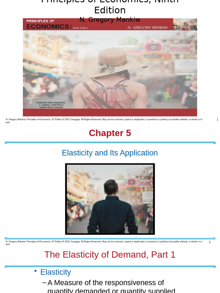 Chapter 05 Elasticity and Its Application | PDF