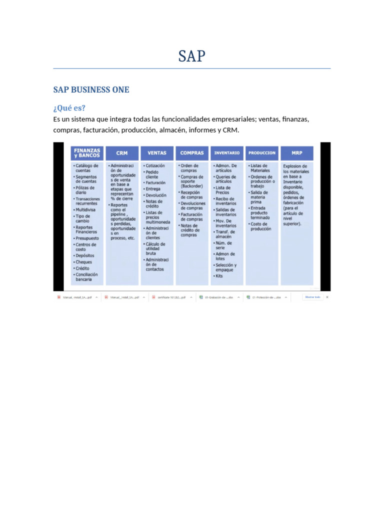 Sap Business One: ¿Qué Es? | PDF
