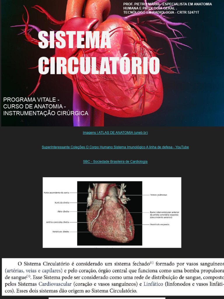 Sistema Circulatório | PDF