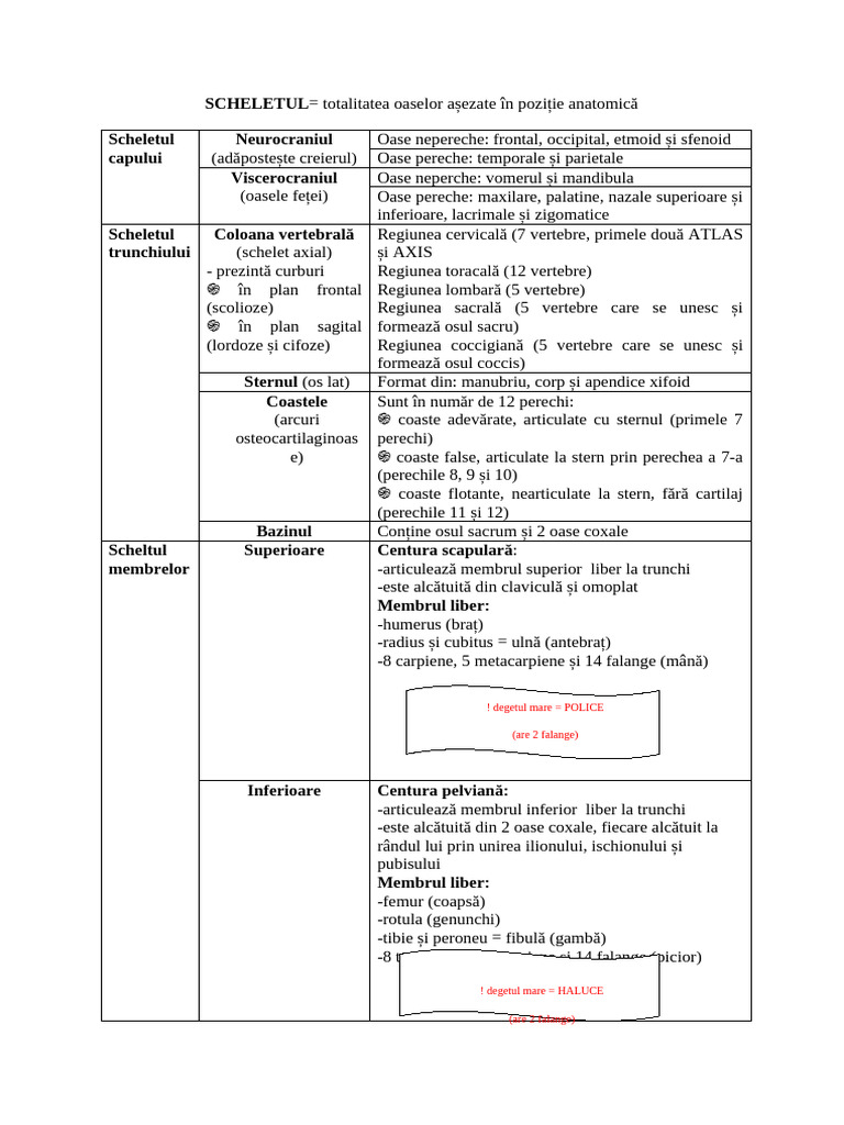 SCHELETUL | PDF