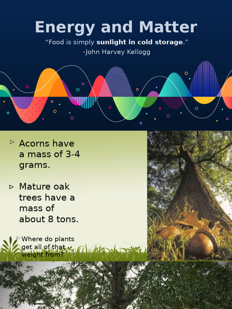 Energy and Matter | PDF