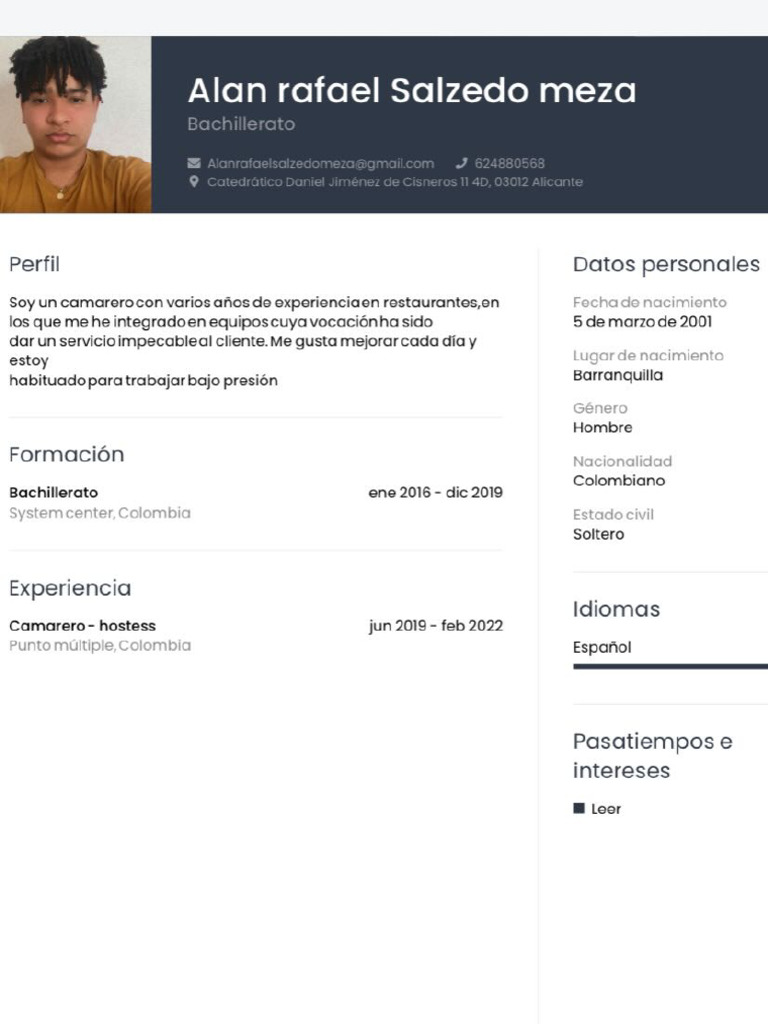 Currículum Alan Salzedo | PDF