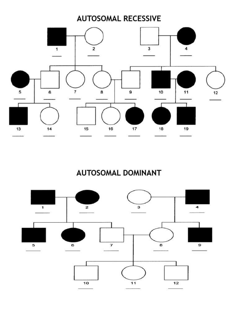 Autosomal Recessive | PDF