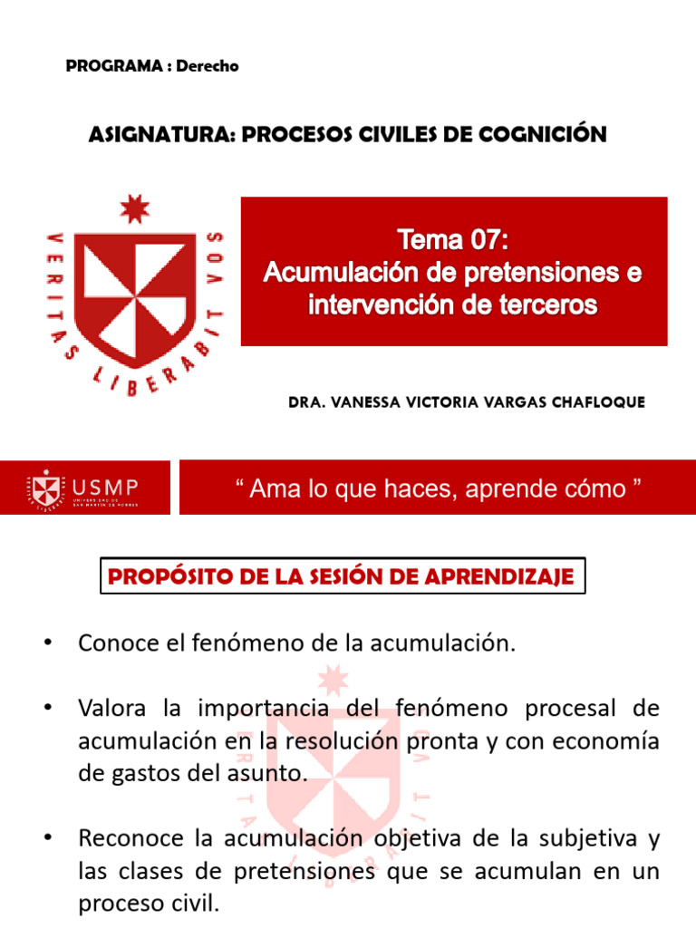 Sesión 7 - Acumulación de Pretensiones | PDF
