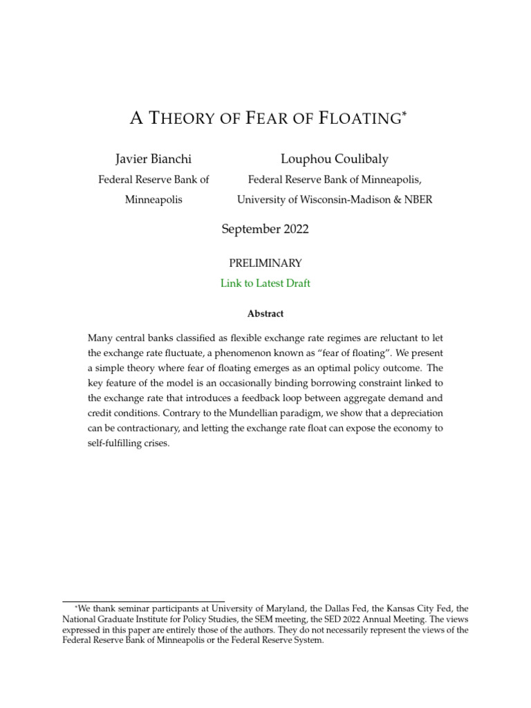 A Theory of Fear of Floating | PDF