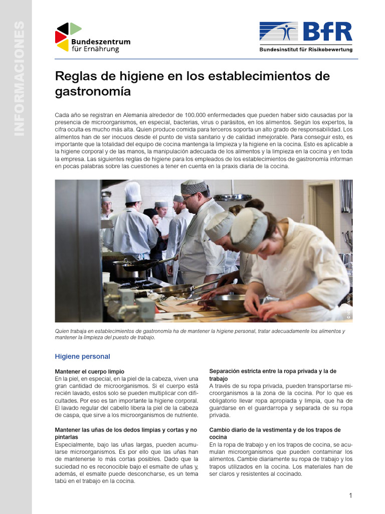 BFR Merkblatt Hygieneregeln Span Web | PDF