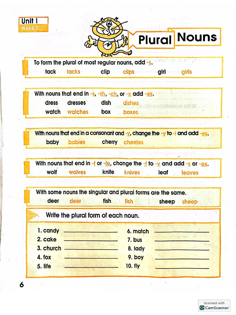 Plural Nouns | PDF