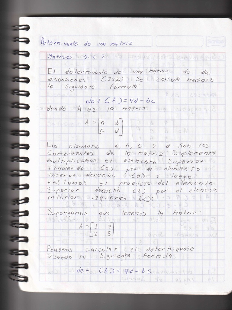 Notas Determinantes de Una Matriz | PDF Notas Determinantes de Una Matriz | PDF