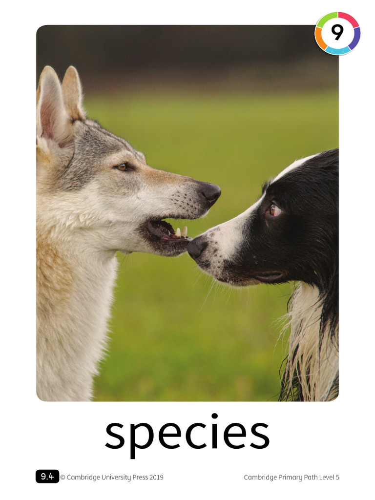 CPP L5 Flashcard 9.4 Species | PDF