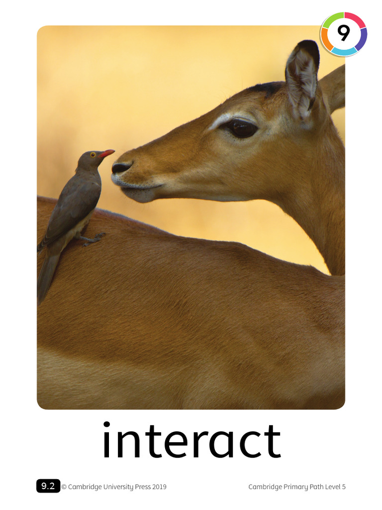 CPP L5 Flashcard 9.2 Interact | PDF