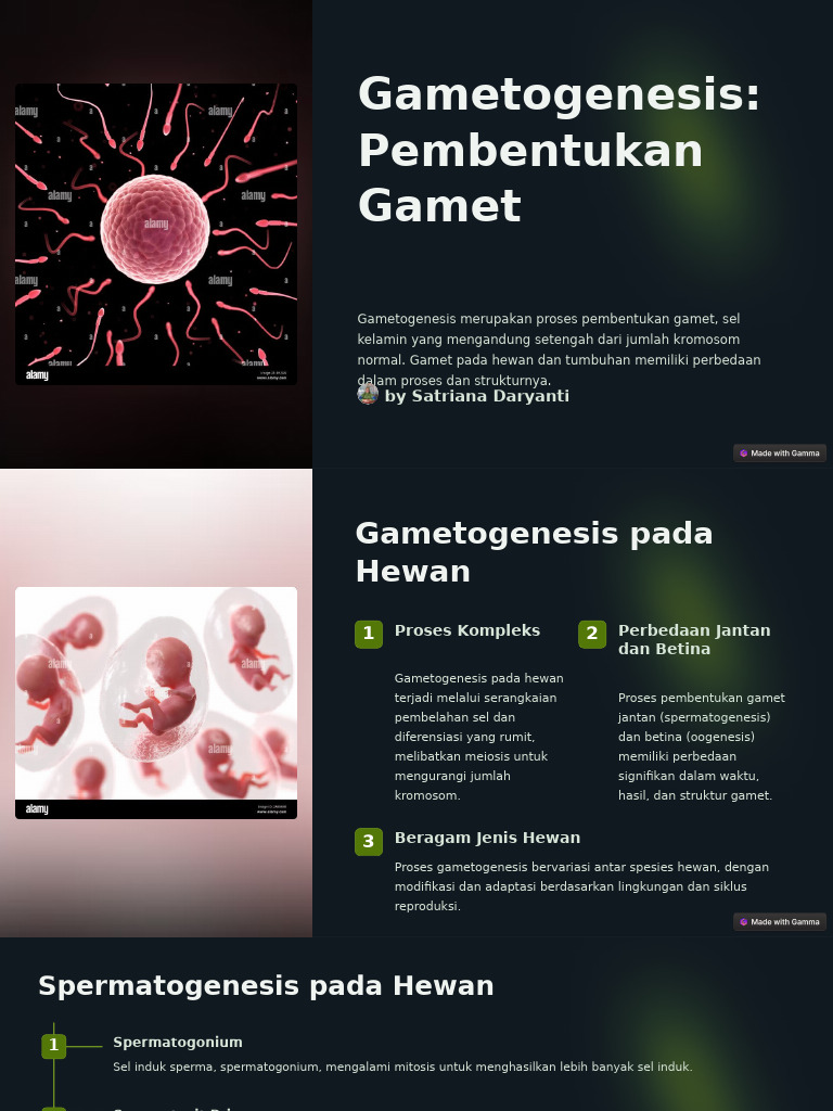 Gametogenesis Pembentukan Gamet | PDF
