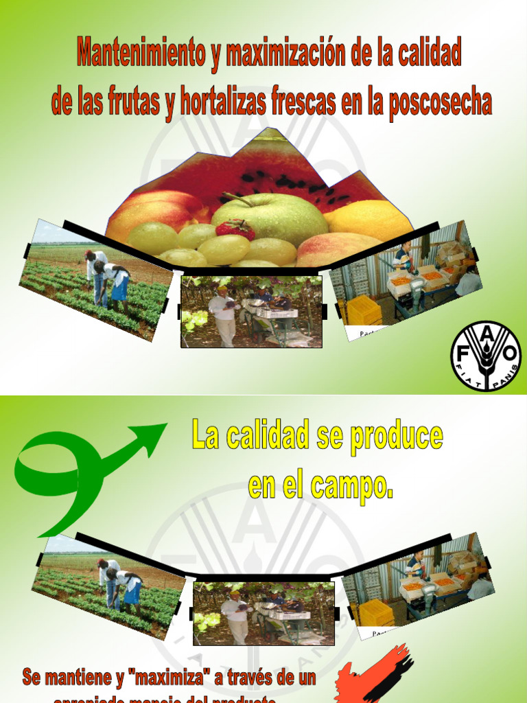 6.1. Fisiología de Poscosecha | PDF