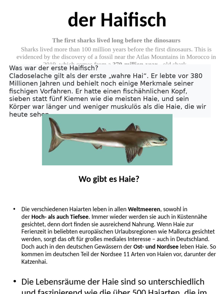 Der Haifisch 3 | PDF