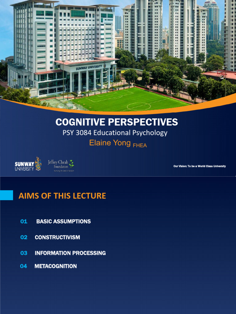3 3084 Cognitive | PDF