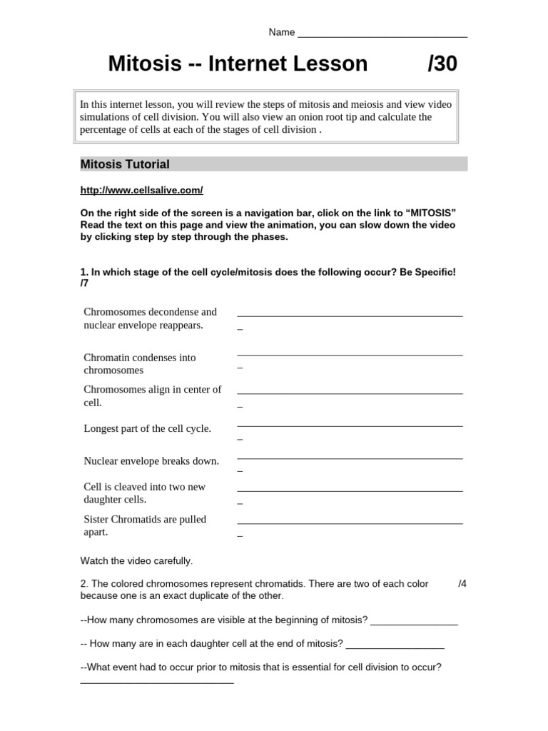 B1. Mitosis Internet Lesson | PDF | Mitosis | Wellness