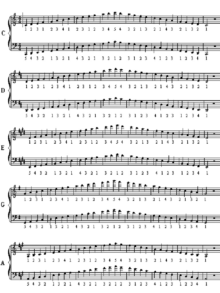 C-A Scales | PDF