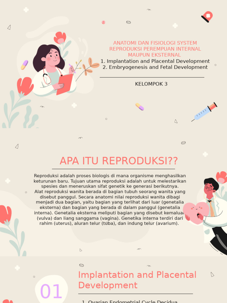 Kelompok 3 PPT Maternitas | PDF