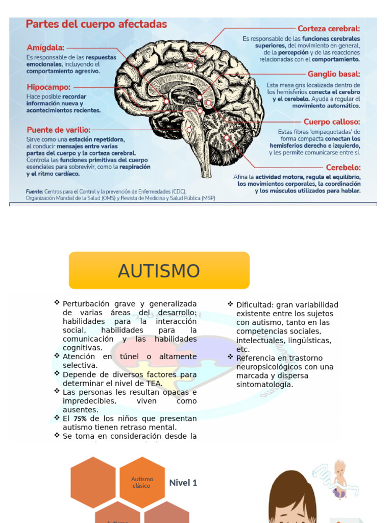 Autismo: Características y Niveles | PDF | Espectro autista ...