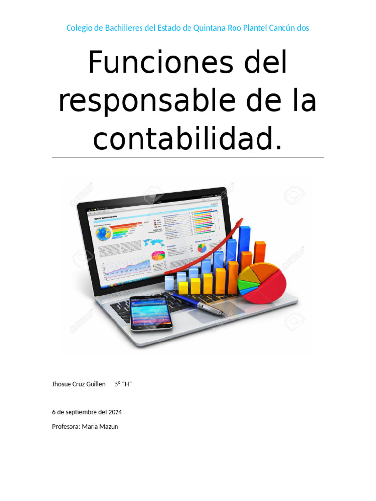 Funciones Del Responsable De La Contabilidad Pdf 9483