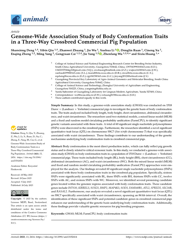 Body Conformation Traits in A Three-Way Crossbred Commercial Pig ...