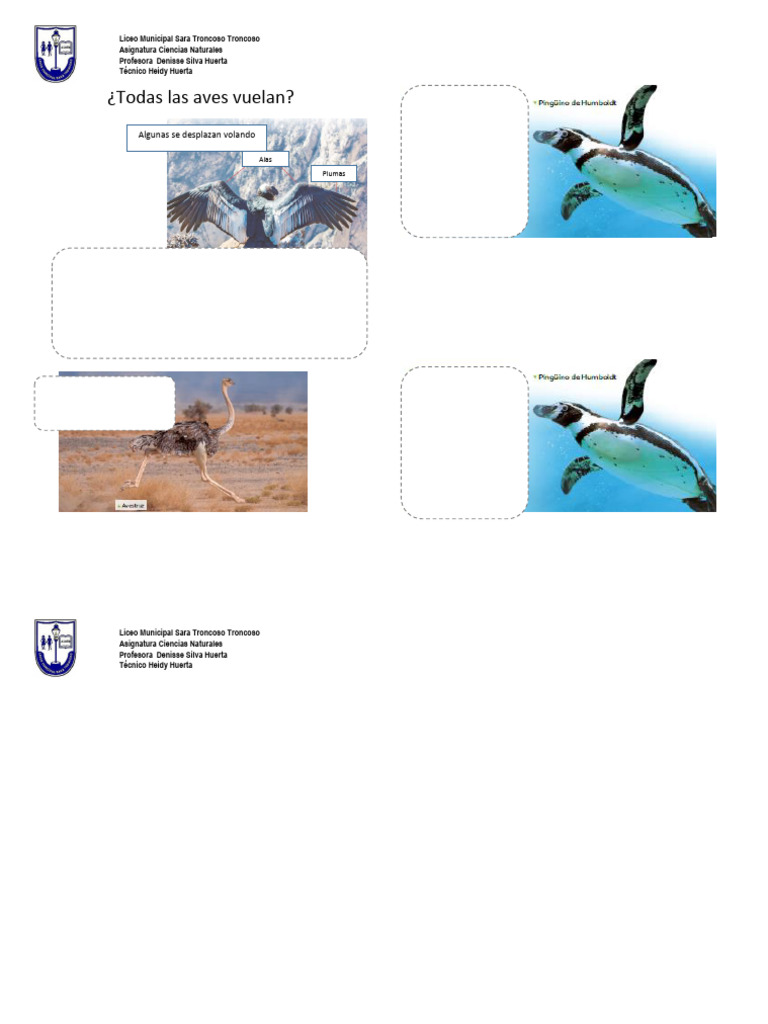 GT Ciencias Anfibios 2°. | PDF