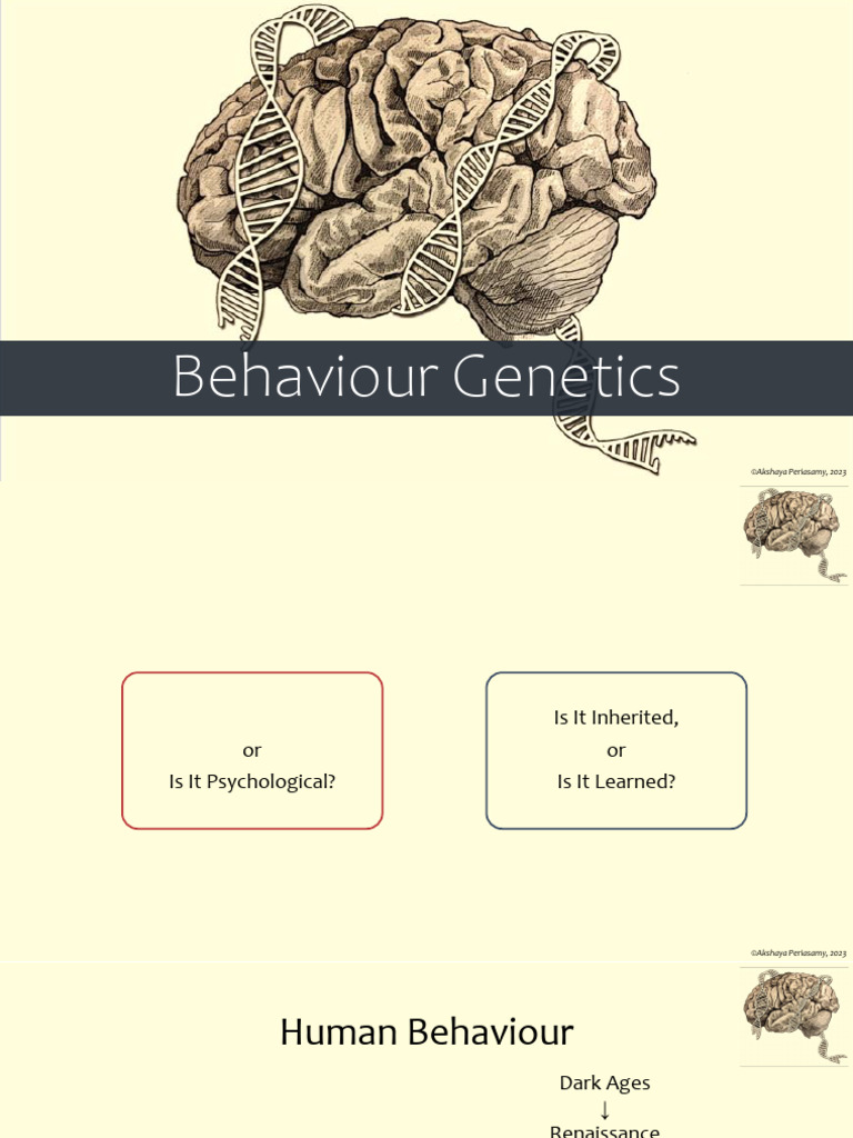 U2 Behaviour Genetics Slides | PDF