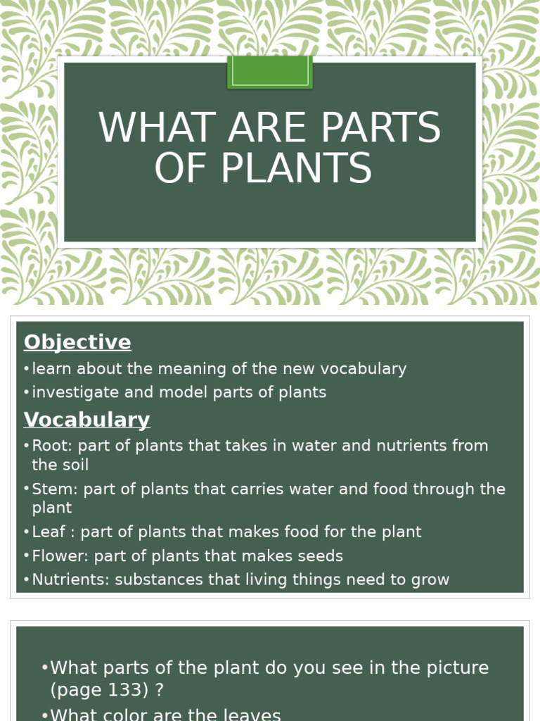 What Are Parts of Plants | PDF