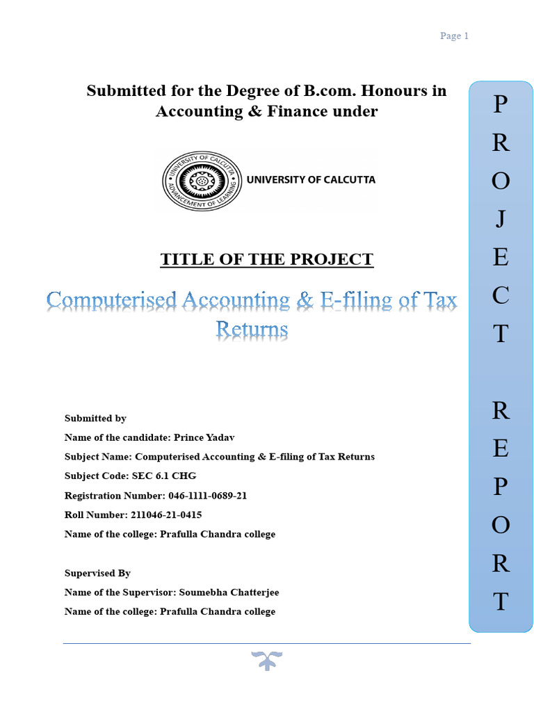 Computerized Accounting & Tax E-filing Project | PDF | Debits And ...