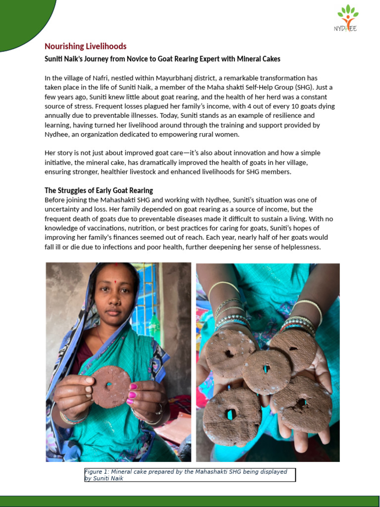 CS - Suniti Naik - Mineral Cake | PDF