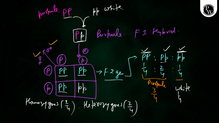 NSEJS Genetics One Shot-Pages-15 | PDF