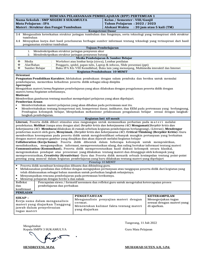 RPP 3 Struktur Dan Fungsi Tumbuhan | PDF