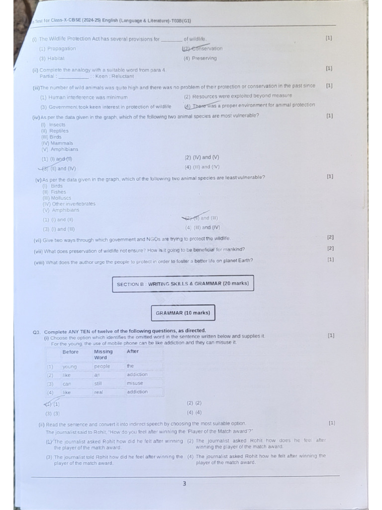 English 3 | PDF