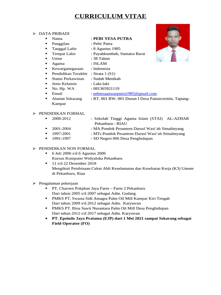 Curriculum Vitae OWI | PDF