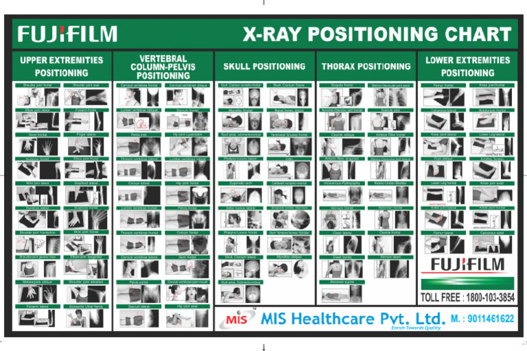 Fujifilm Xray Position Chart LR 1600 PDF - Gdrive.vip | PDF