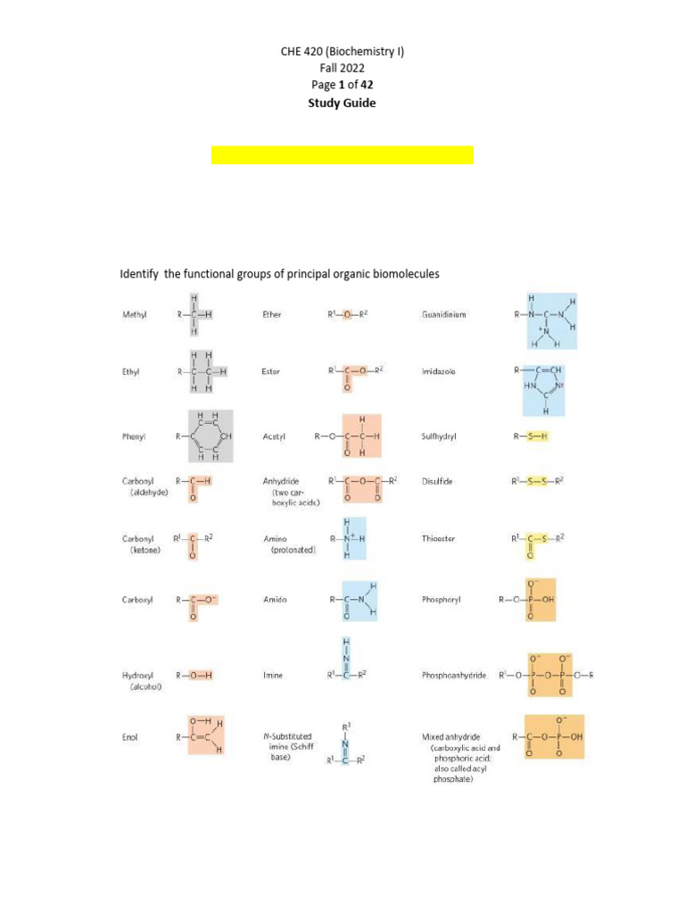 Final Exam - Study Guide | PDF