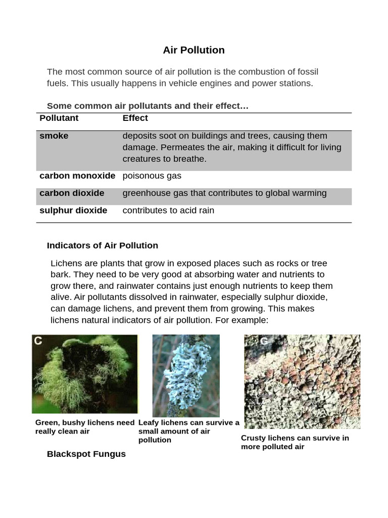 Air Pollution | PDF