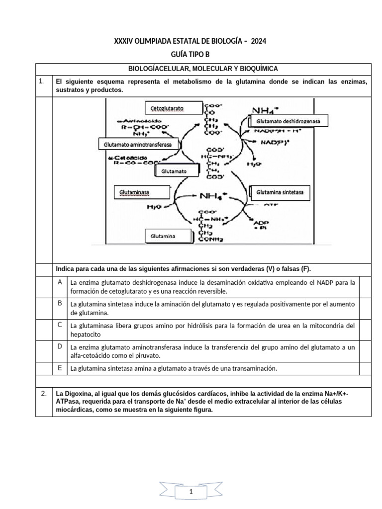 Ii Guía B 2024 | PDF