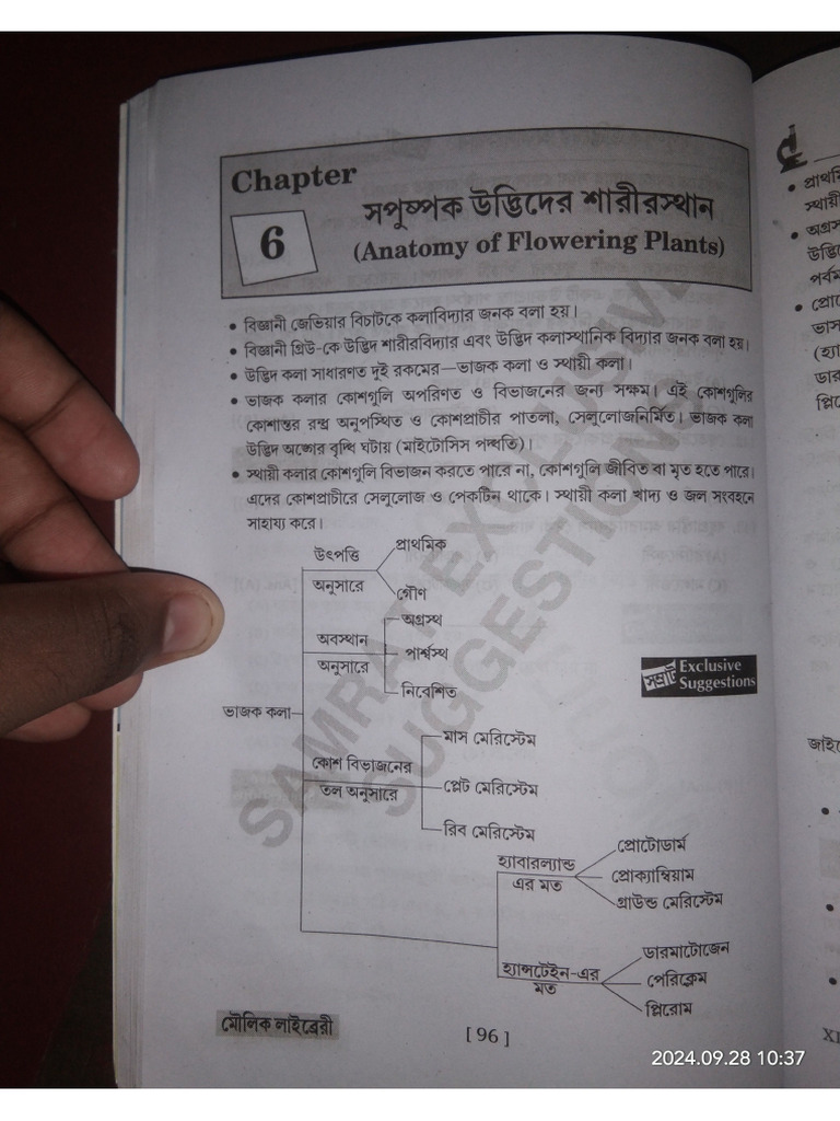 Anatomy of Flowering Plants | PDF