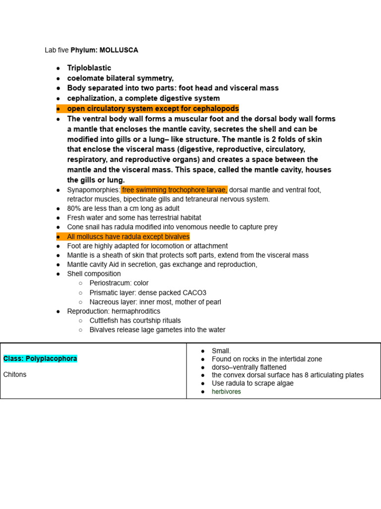 Overview of Phylum Mollusca | PDF | Mollusca | Home & Garden