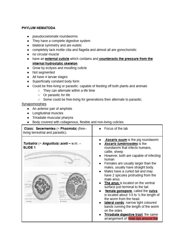 Lab 7 | PDF | Nematode