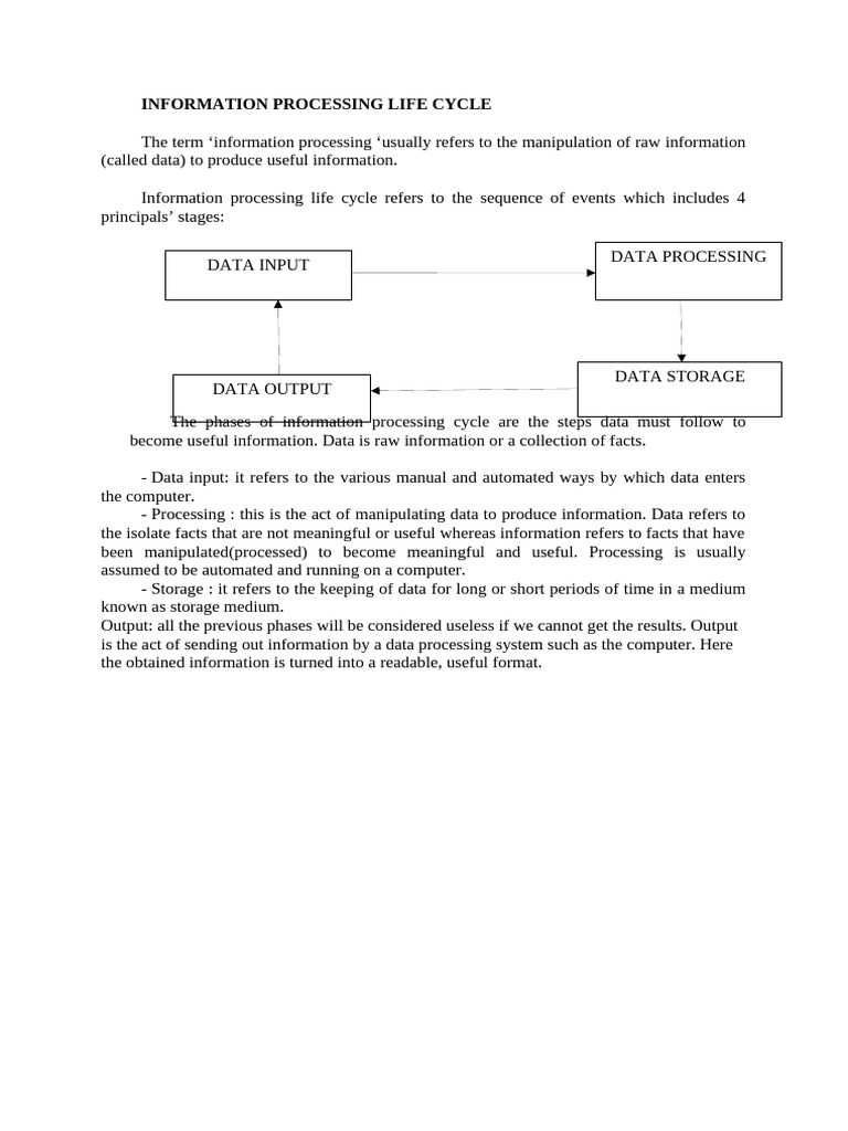 Information Processing Life Cycle | PDF | Business | Computers