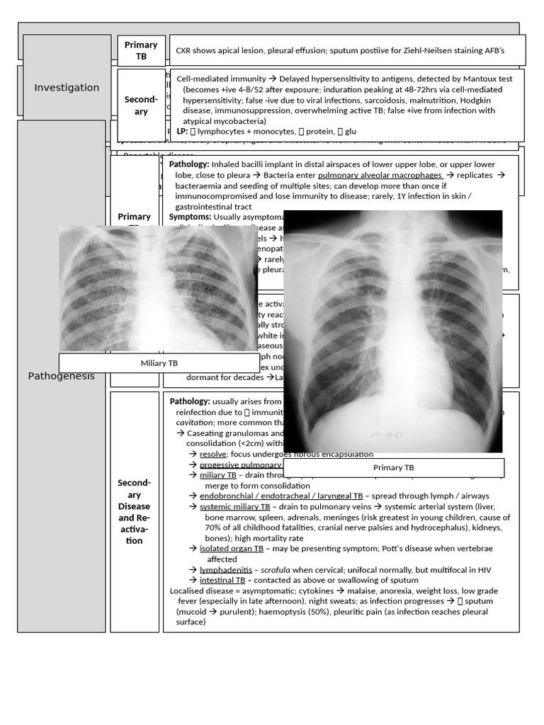 Tuberculosis | PDF