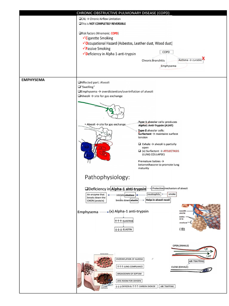 Chapter 20 Copd | PDF