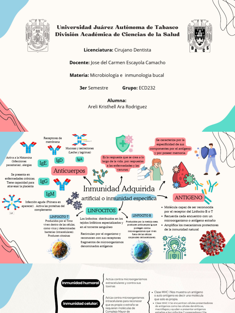 Mapa Mental Inmunidad Adquirida | PDF