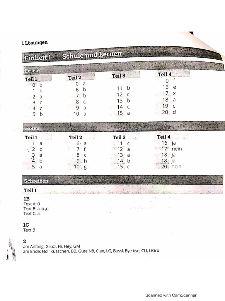 A2 Miterfolg Answer Sheet | PDF