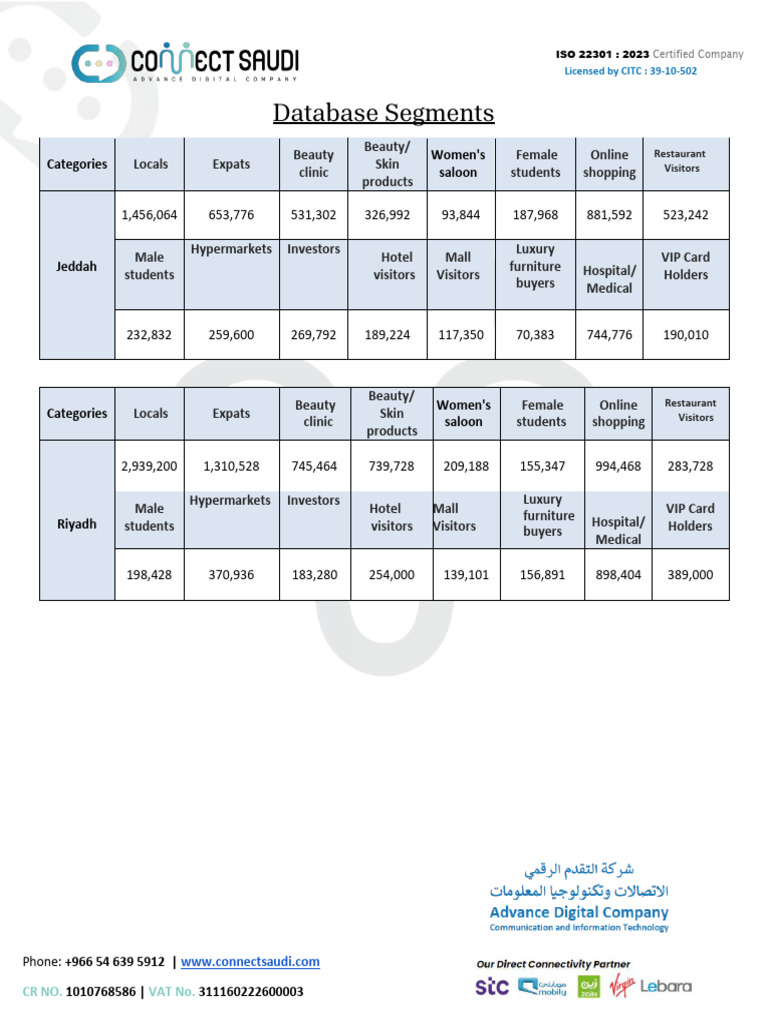 Connect Saudi - Database Segments - ENG | PDF