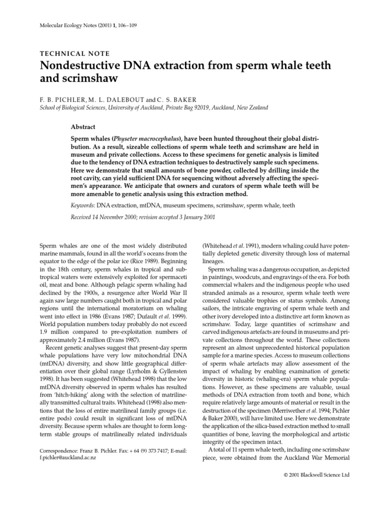 Nondestructive DNA Extraction From Sperm Whale Teeth and Scrimshaw ...