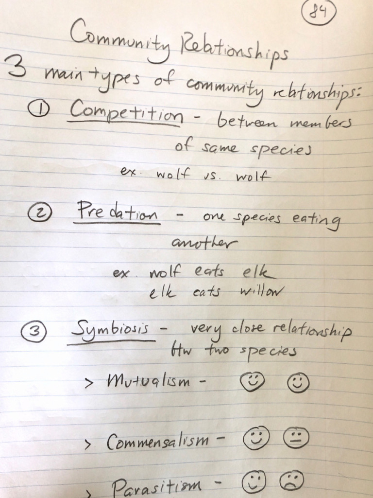 4-Community Relationships | PDF