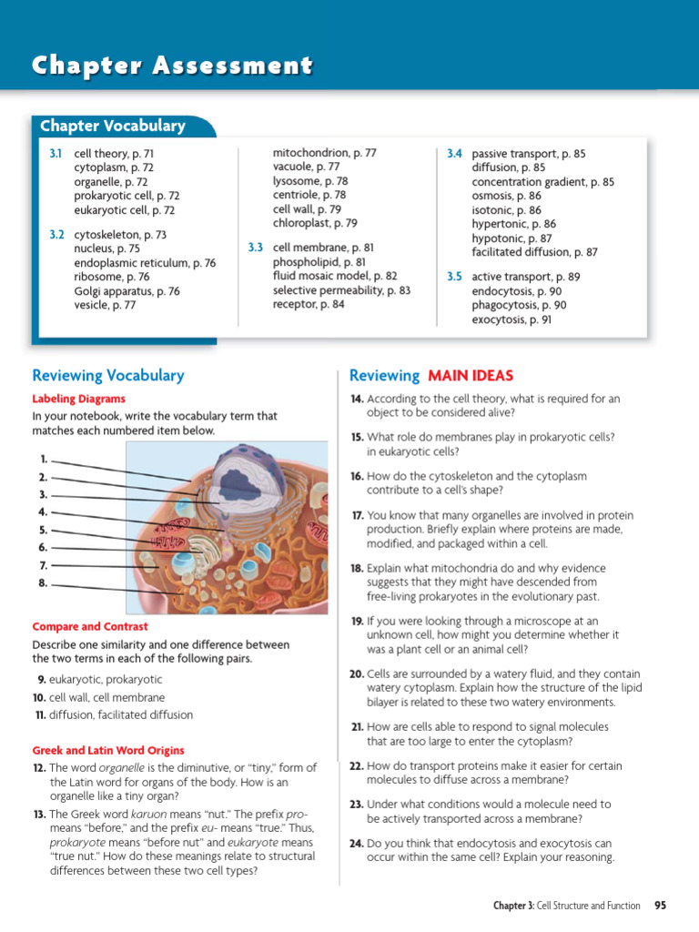 CH 3 Cells Review | PDF